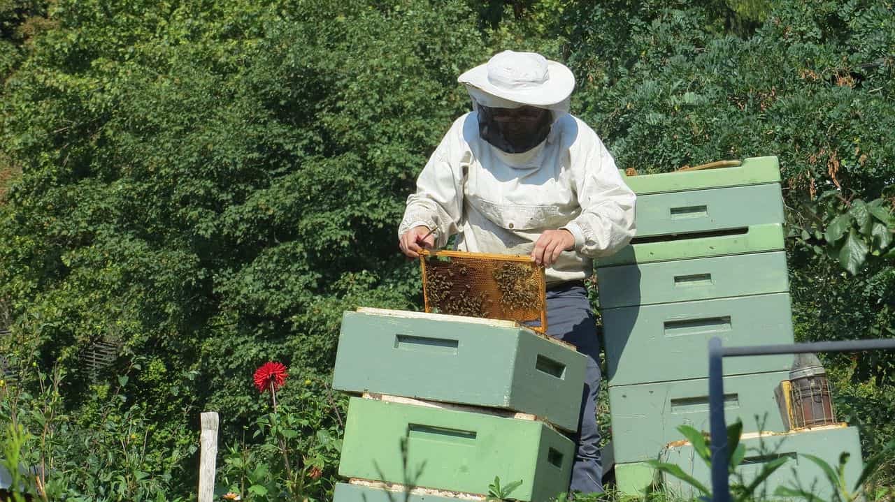 When to Add Honey Supers